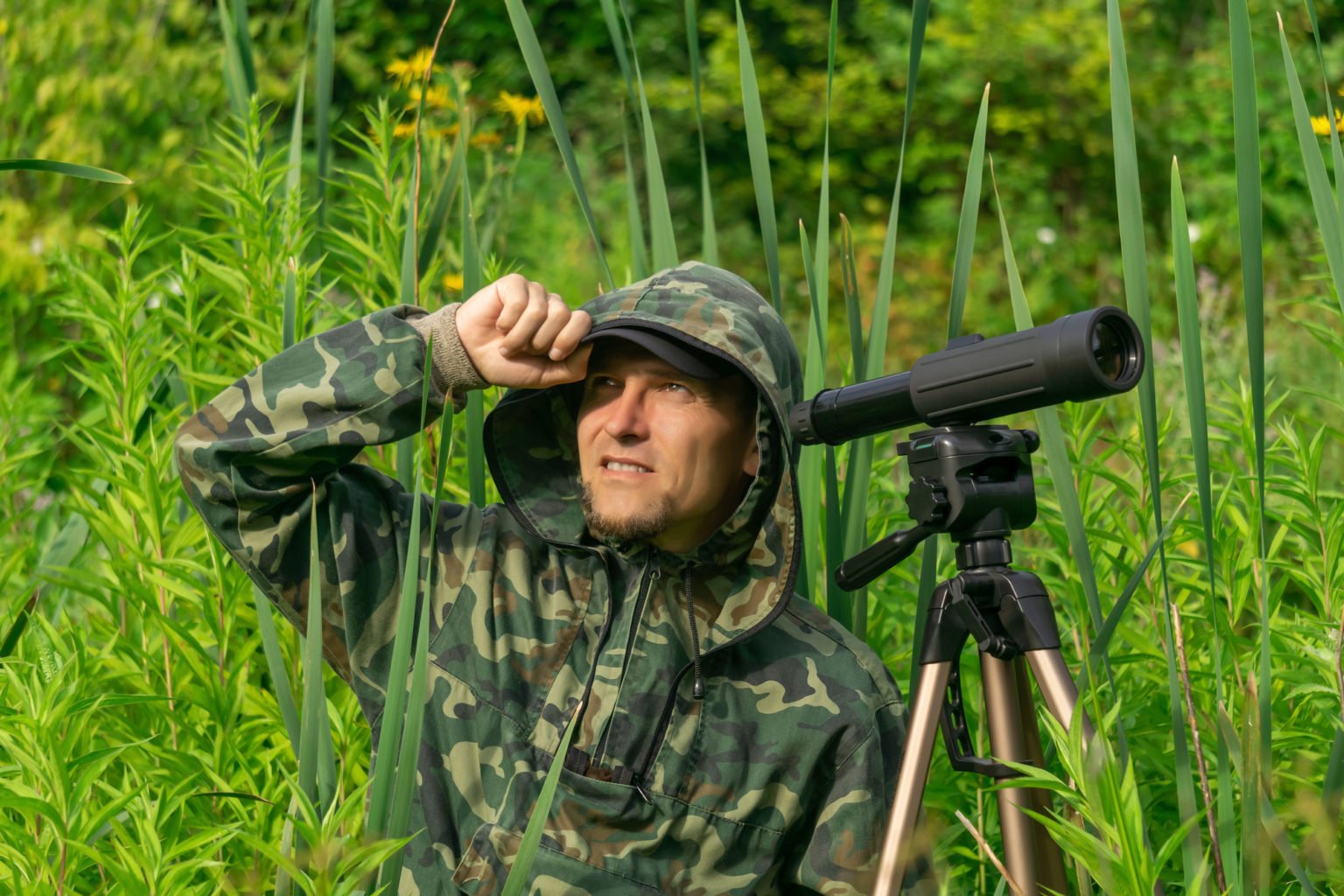 How To Use a Spotting Scope For Wildlife & Bird Watching