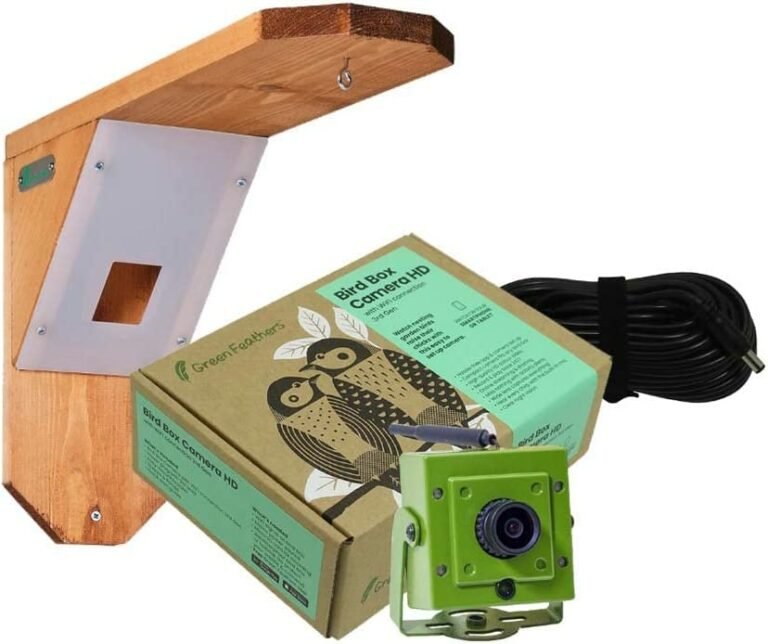 Best Bird Feeder Cameras Of 2023 - Glenlivet Wildlife